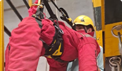 IRATA, Rope Access Training: Rig Pro